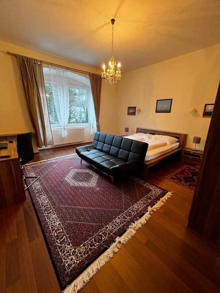 Villa Wellspacher 2 Luxury Apartments 10 Persons - 奧地利