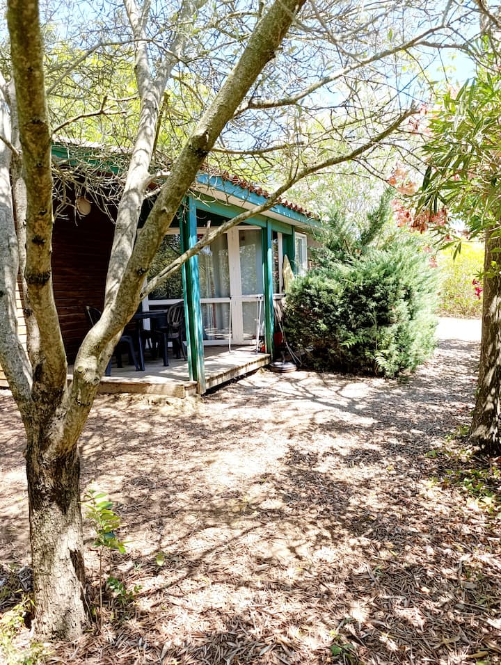 Chalet Individuel Sur Parcelle Privée - Carcassonne