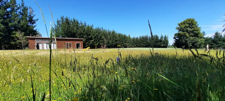 Parcela El Nogal - Curacautin