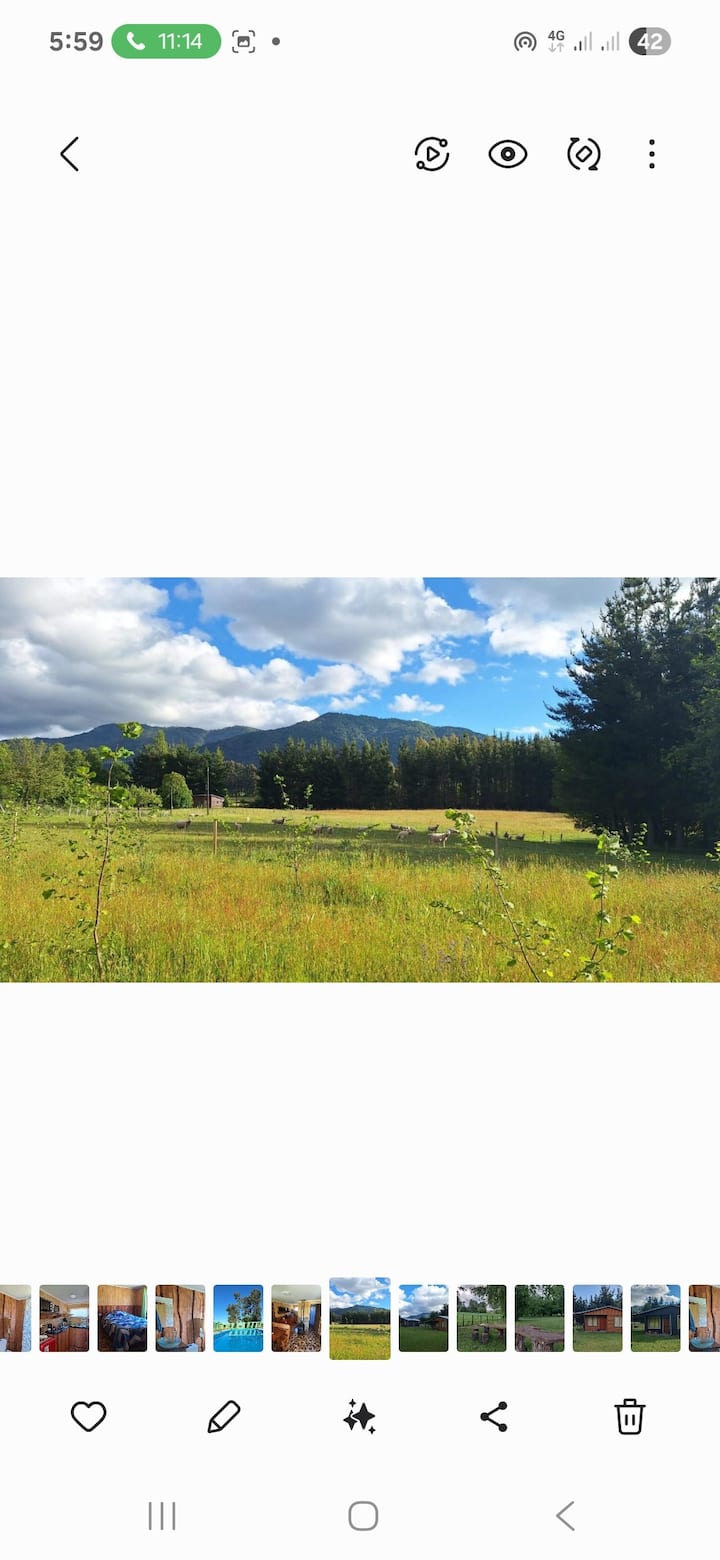 Parcela El Nogal - Curacautin