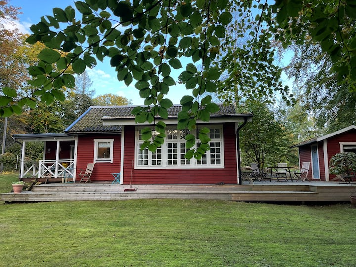 Myset I Skogen Betyder Hyggen I Skoven - Höör