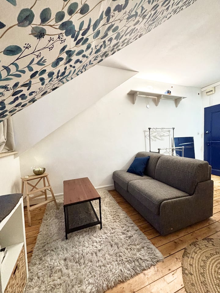 Petit Studio Proche De La Gare - Strasbourg