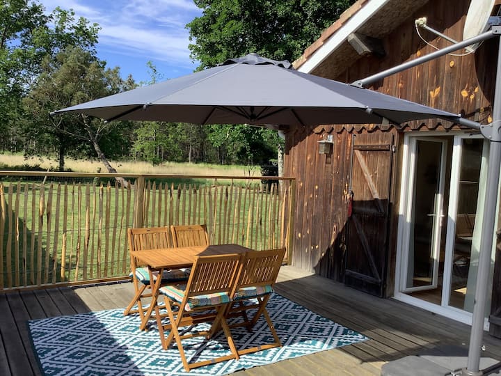 Grand Studio 2 Terrasses - Carcans