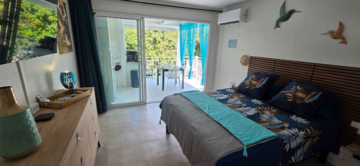 Nouveau ! Colibri Bleu à L'anse Des Rochers - Guadeloupe