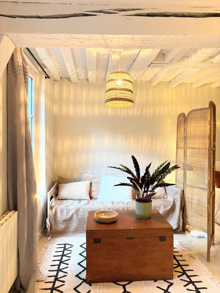 Charmant Appartement Lumineux, Proche De Tout - Rouen