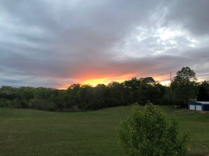 A Squirrels Paradise 2 - Pilot Mountain, NC