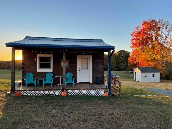 A Squirrels Paradise 2 - Pilot Mountain State Park, Pinnacle