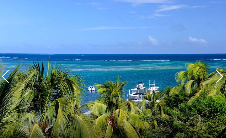 Le Bungalow Des Aigrettes - Martinique