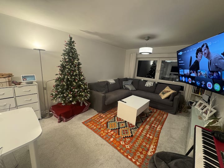 Stylish Cambridge Apartment With Parking Sleeps 5 - Cambridge