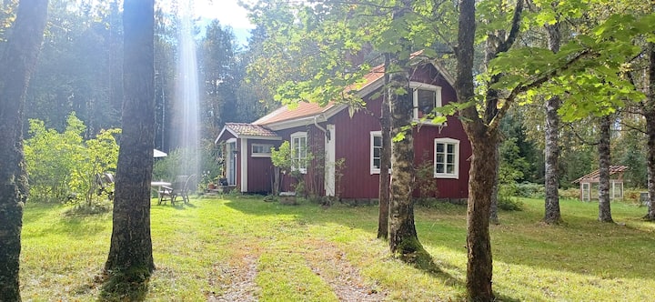 Peaceful Forest Cabin - Romantic, Cosy & Private - Sweden