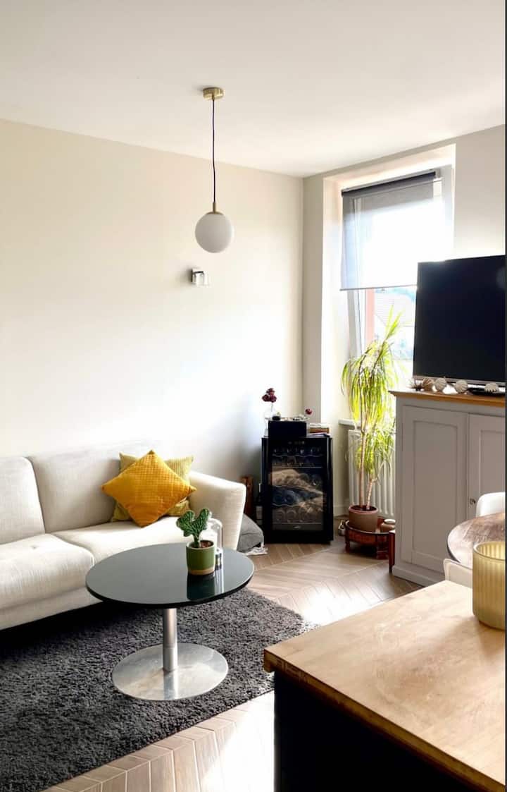 Appartement F2 Cosy ! - Bas-Rhin