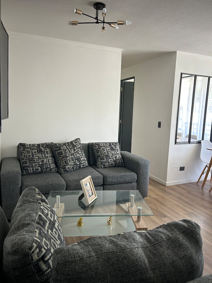 Se Arrienda Departamento Por Día - Constitución