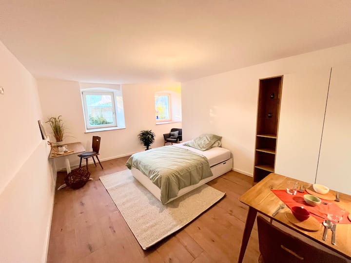 Apartment Mit Altstadtblick Direkt Am Fluss - Regensburg