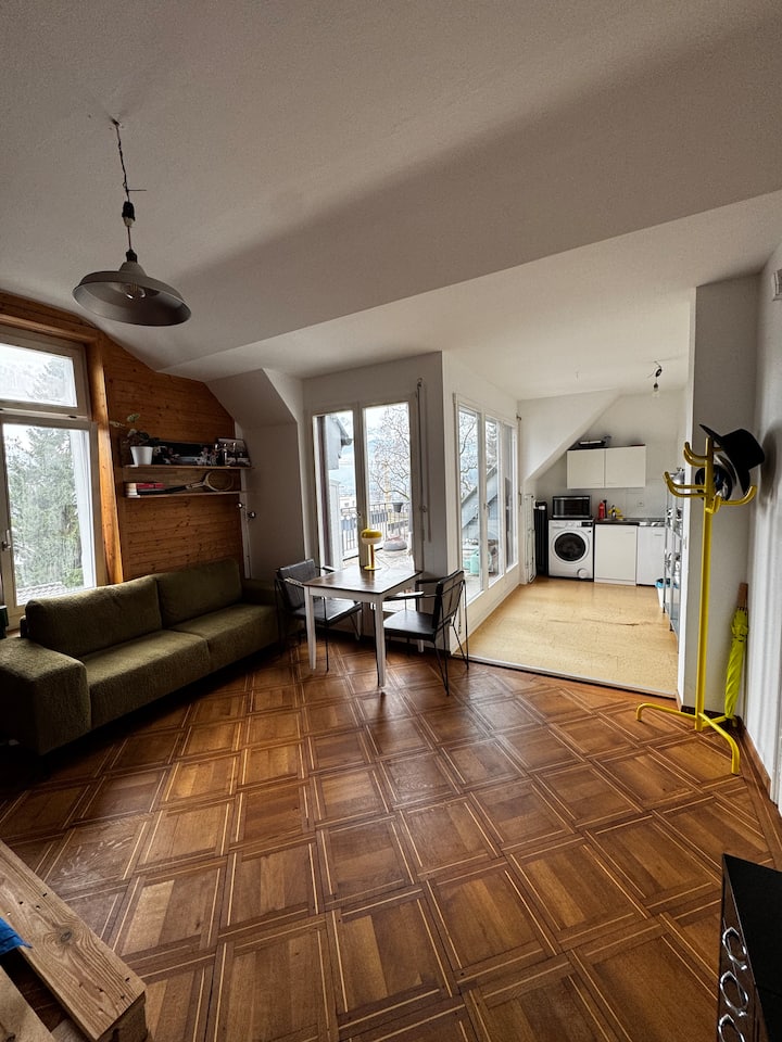 Colourful Apartment- Breathtaking Mountain Views - Lucerne