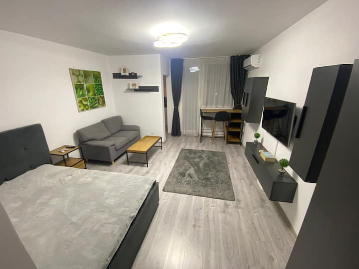 Satu Mare - Satu Mare