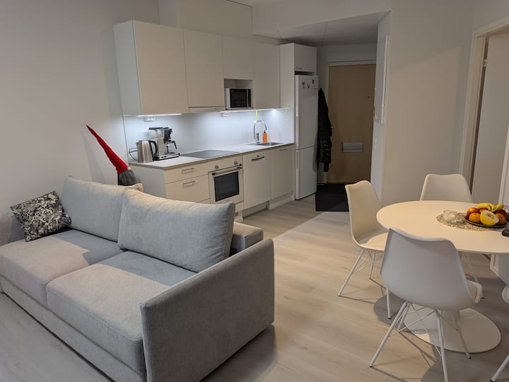 Urban Pearl Apartment - 로바니에미