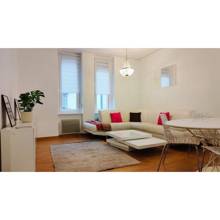 2 Pièces à Strasbourg Proche Marché De Noël - Strassburg