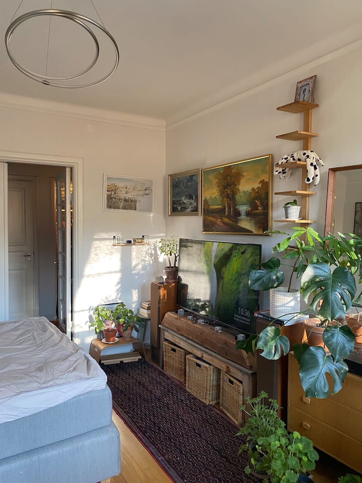 Charming Central Apartment - Stockholm