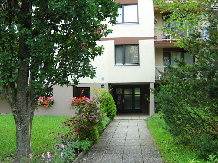 Ruhige Oase In Linz - Stadtteil Urfahr - Linz