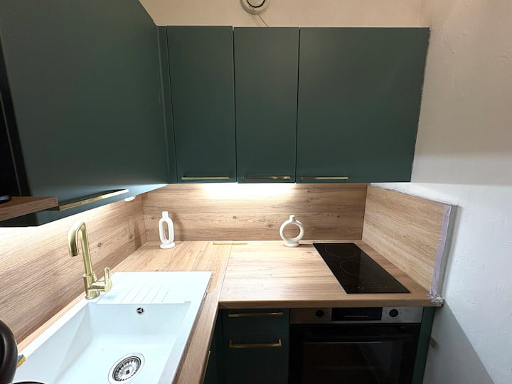 Joli T2 Cosy Et Entièrement Rénové à Mougins - Mougins