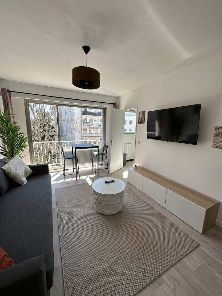 Charmant Studio Hyper Centre - Gare Tgv - Mulhouse