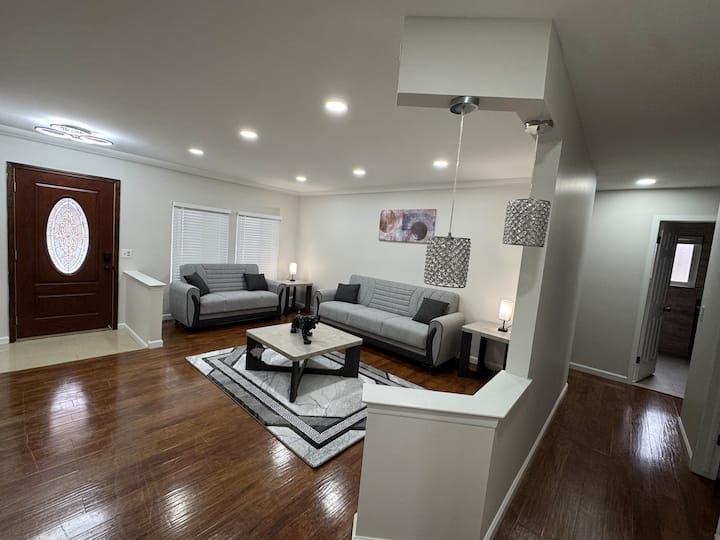 Luxury Modern House Amazing Location - Troy, MI