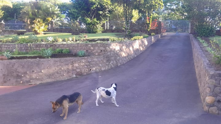 Moringa, Home Away From Home. Peaceful Nature - Kloof