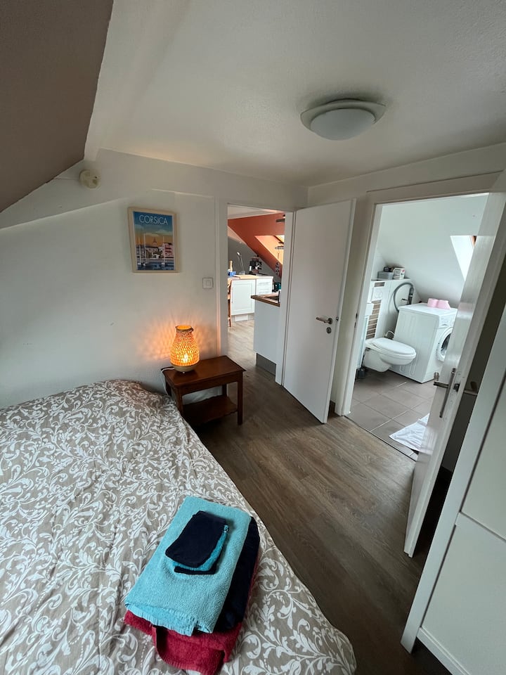 Nice And Cosy Apartment F2 Near City Center - Strasbourg