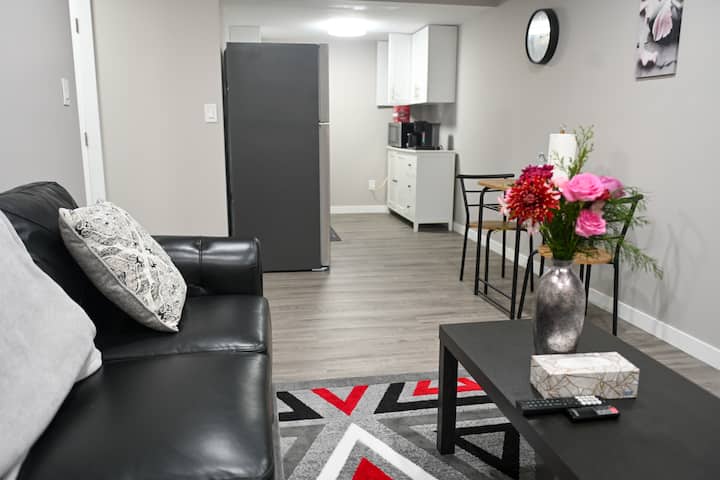 Brand New, Cozy, And Beautiful 1bed, 1bath. - Regina