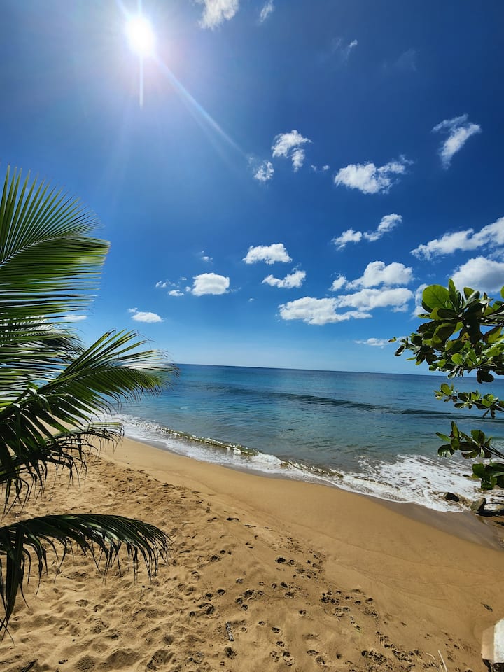 Beach Walk Distance, Pool:viva La Vida Beach House - Rincón