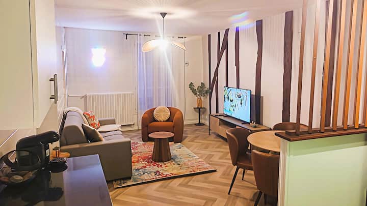 Le 10 Du Nc - Appartement Cosy - Musée des Beaux-Arts de Tours