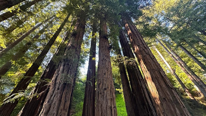 Redwood Stream Casita - 스틴슨 비치