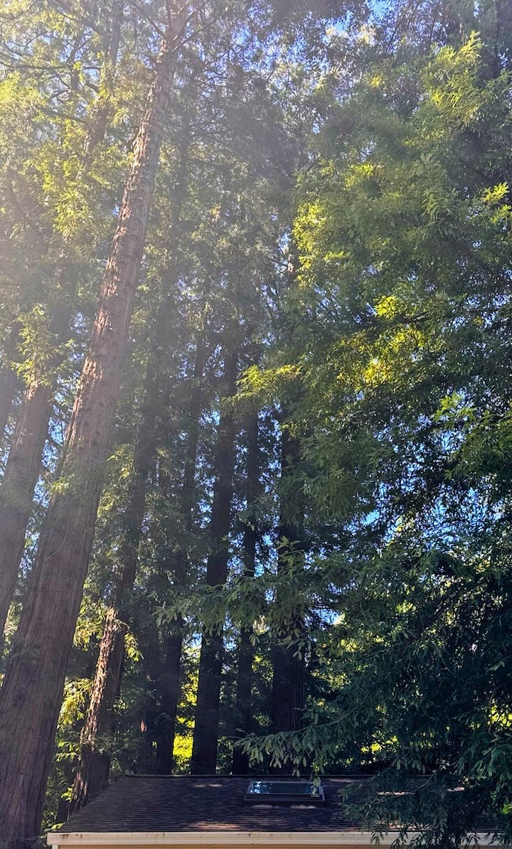Redwood Stream Casita - Corte Madera, CA