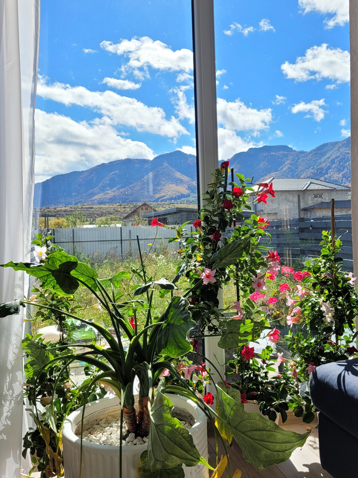 Mountain-view house, ideal for family getaways - Houses for Rent in ...