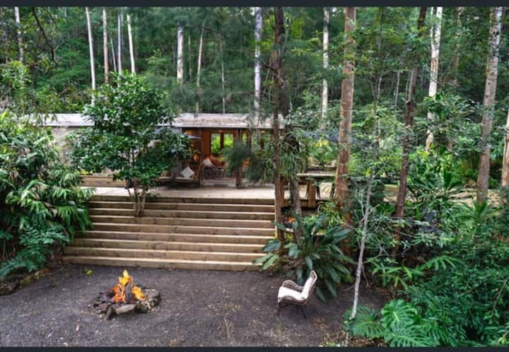 Connect With Nature In The Noosa Hinterland. - Noosa Shire