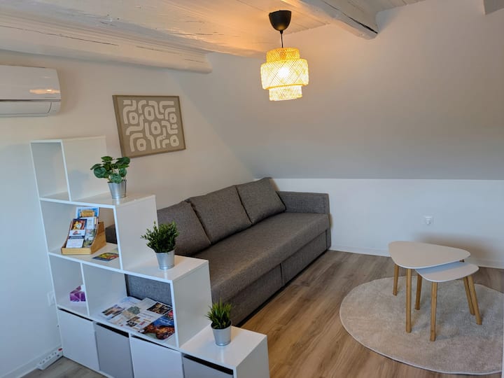 Appartement Cocooning Centre Mutzig - Molsheim
