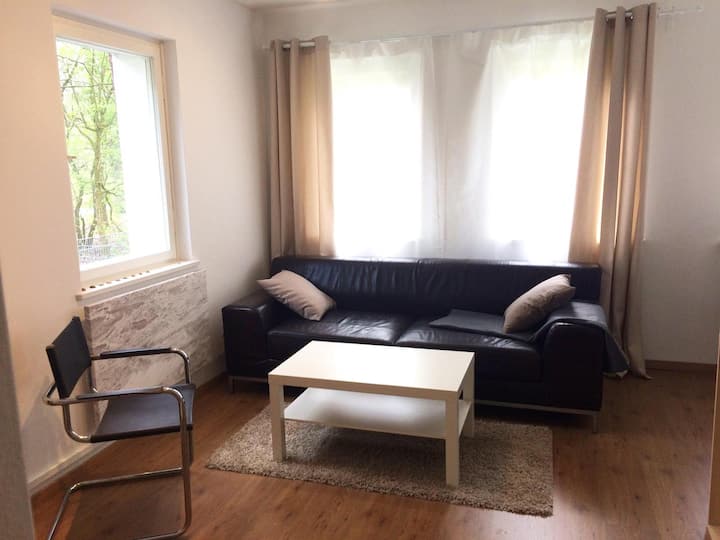 Sehr Ruhige Wohnung Mitten Im Park In Nürnberg - Nuremberg