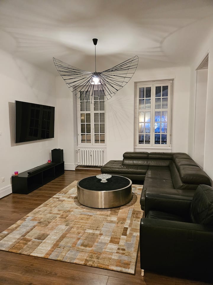 Grand Appartement En Plein Centre-ville - Strassburg
