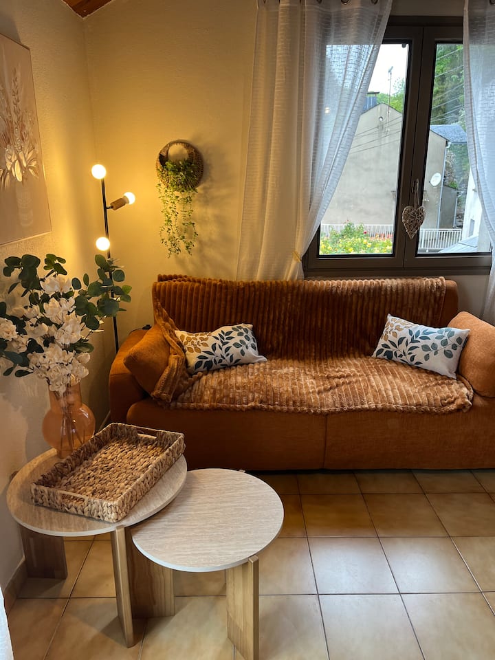 Maison - 2 Chambres, Balcon Et Garage - La Salvetat-sur-Agout