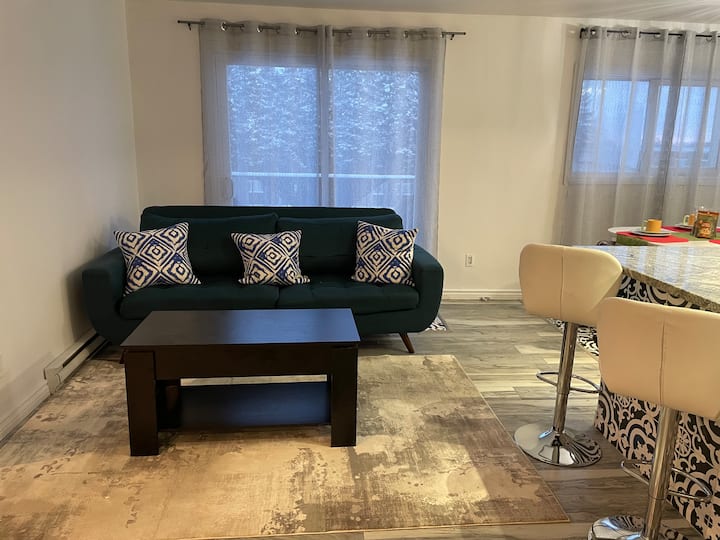 Newly Renovated 2 Bedroom Apt - Sault Ste. Marie