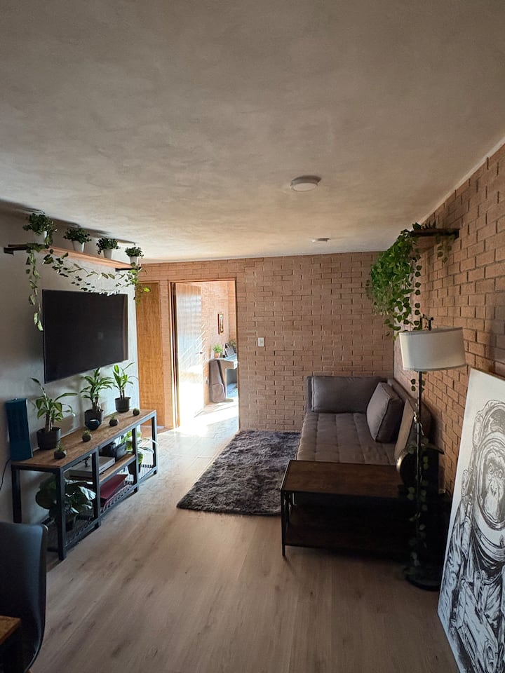 Departamento Estilo Industrial Amueblado - Mexico