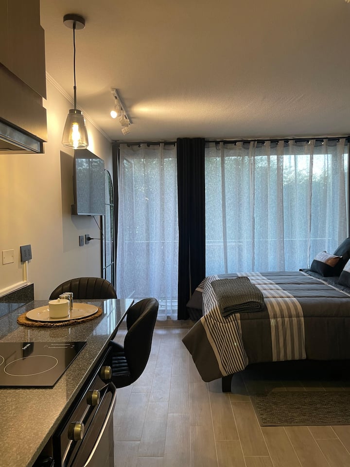 Acogedor Estudio Con Vista Al Río Calle-calle - Valdivia