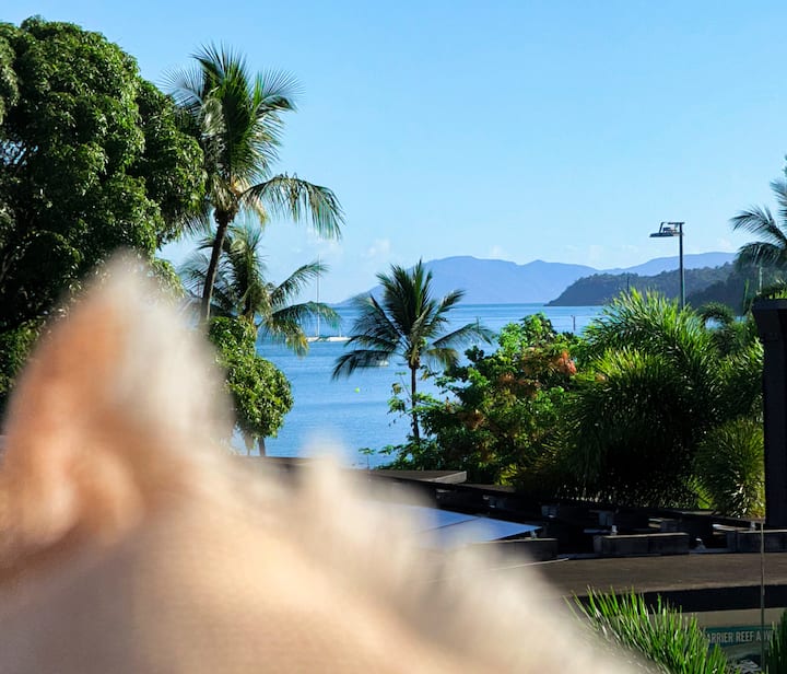 The Balcony At Airlie Beach - Airlie Beach
