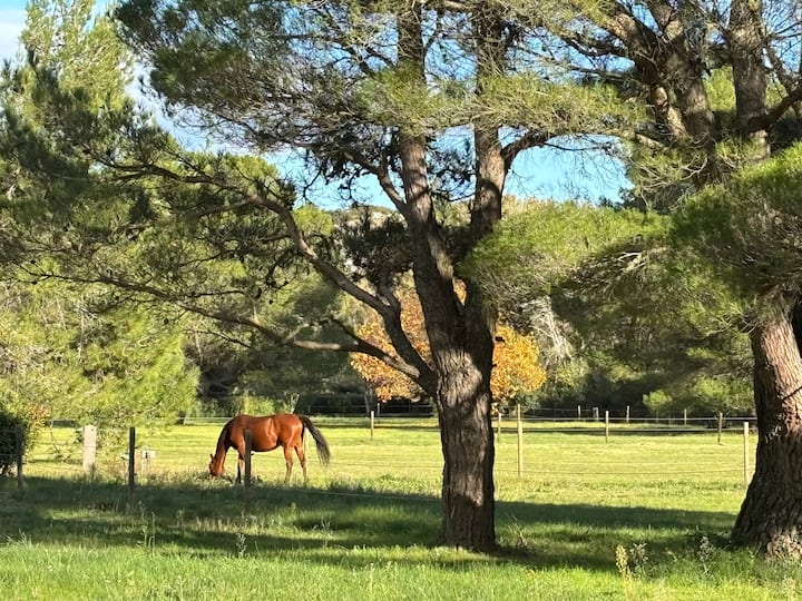 Gîte Alpilles,4 Pers. Clim, Piscine, Mas Meunerie - Fontvieille