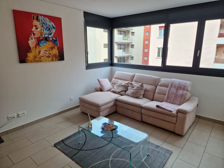 Appartamento Al Molino A Lugano - Lugano