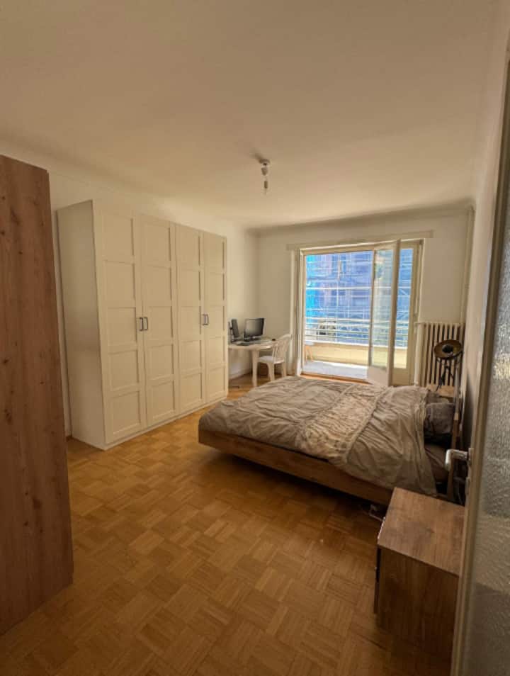 Appartement Lumineux Au Cœur De Genève - ジュネーヴ