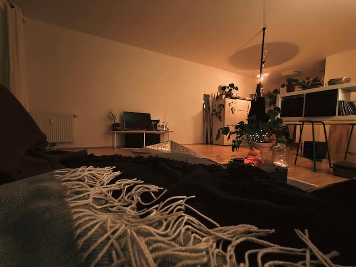 Zimmer Cozy Shared Penthouse In Zentrumsnähe - Innsbruck