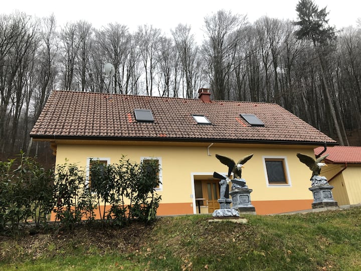 Apartment Ambassador - Bad Gleichenberg