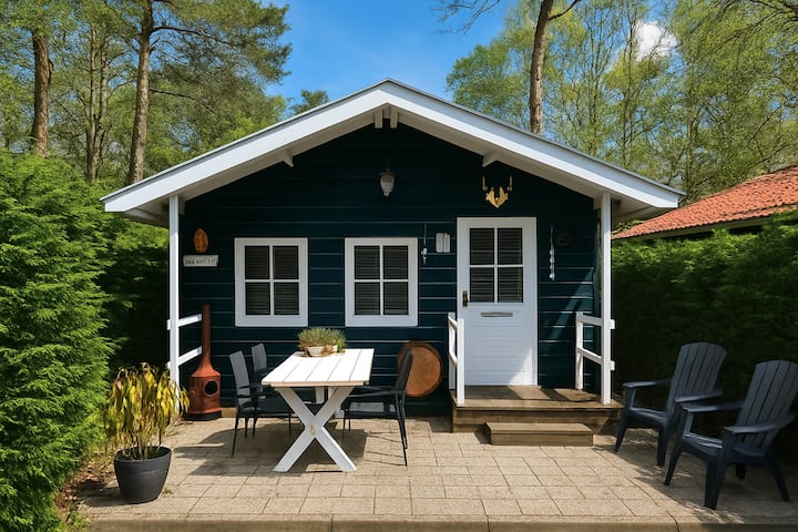 Duinhuisje Schoorl - Schoorl