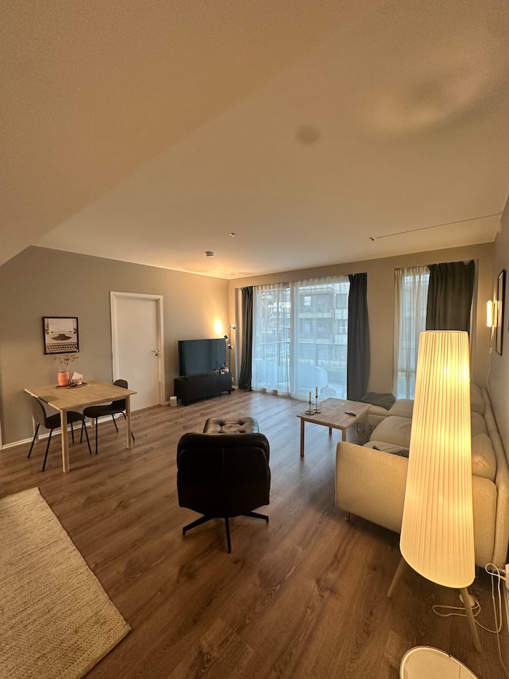 Perfekt Leilighet For Et Besøk Til Trondheim - Trondheim